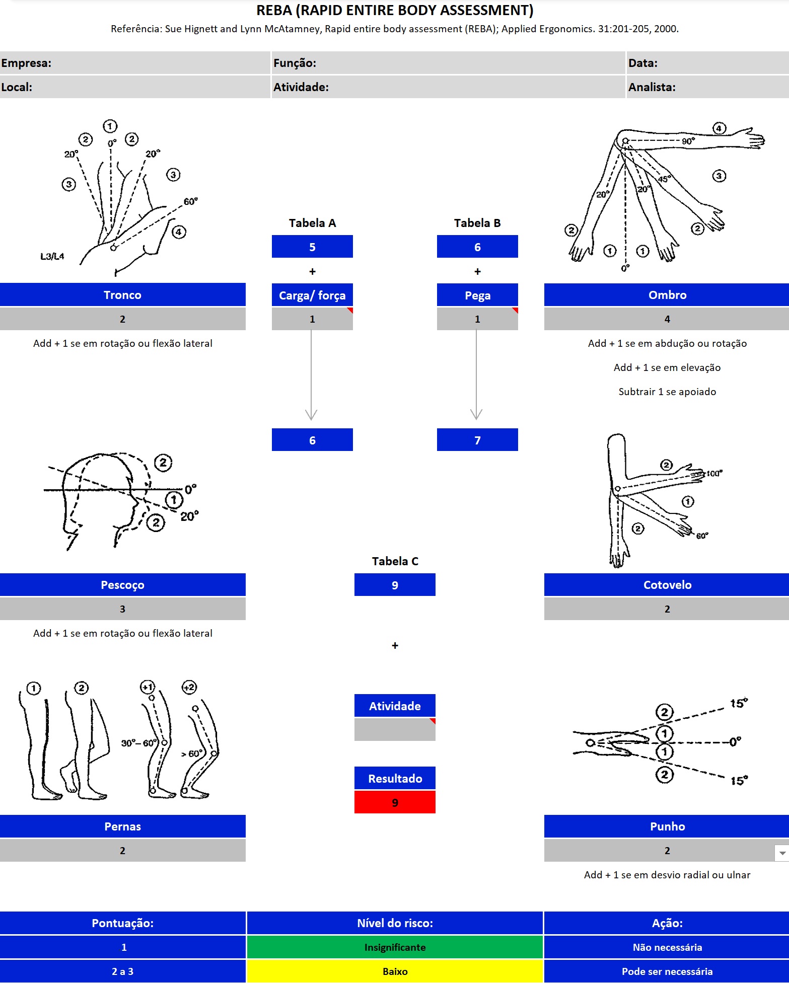 Kit Ferramentas Ergonômicas Ergostore - Ergostore